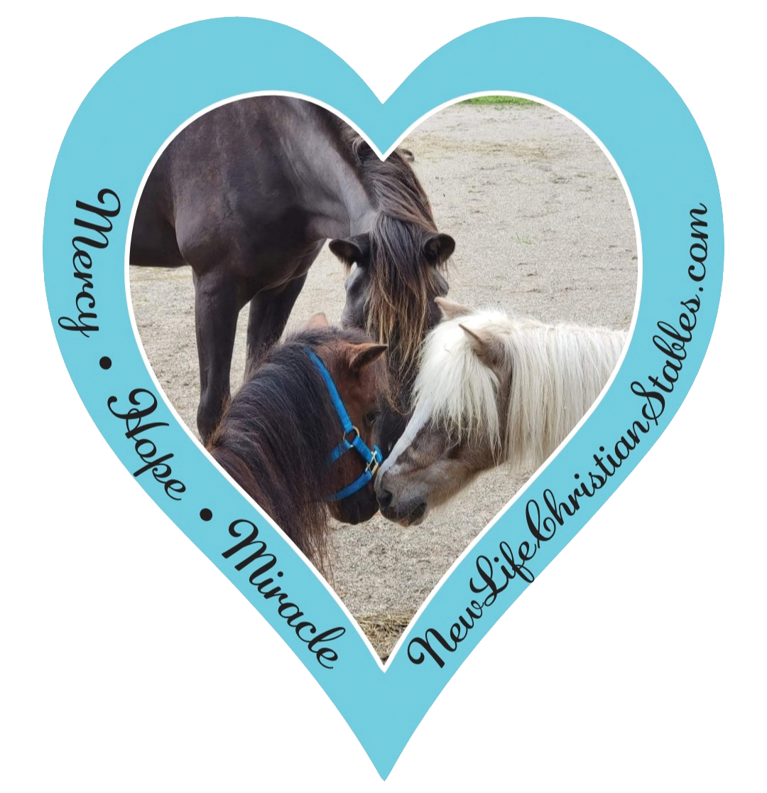 Donate - New Life Christian Stables Donate - New Life Christian Stables